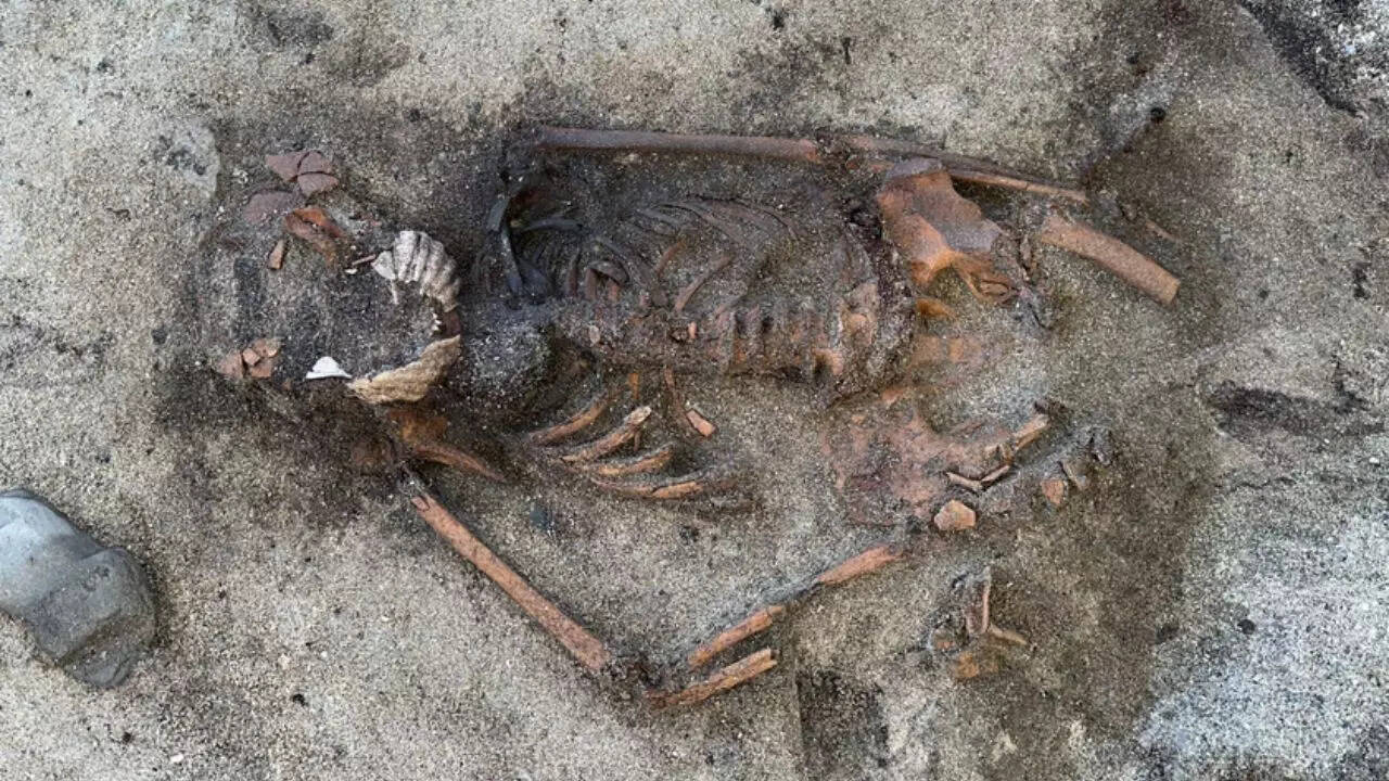 Sweden unearths a 5,000-year-old dog buried with a dagger, hints at ...
