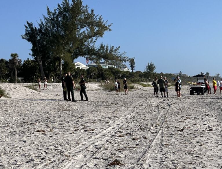 Update: Body found during search for diver missing off Manasota Beach