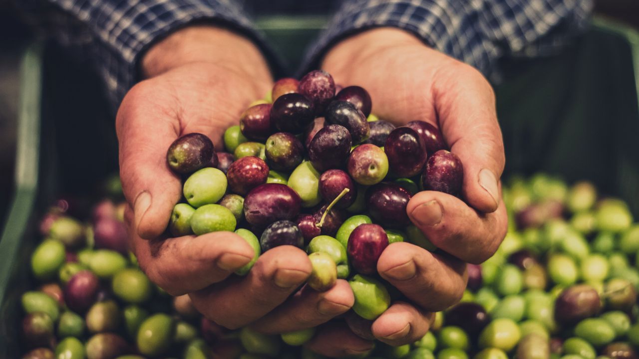 15 biblical foods still on today's dinner tables