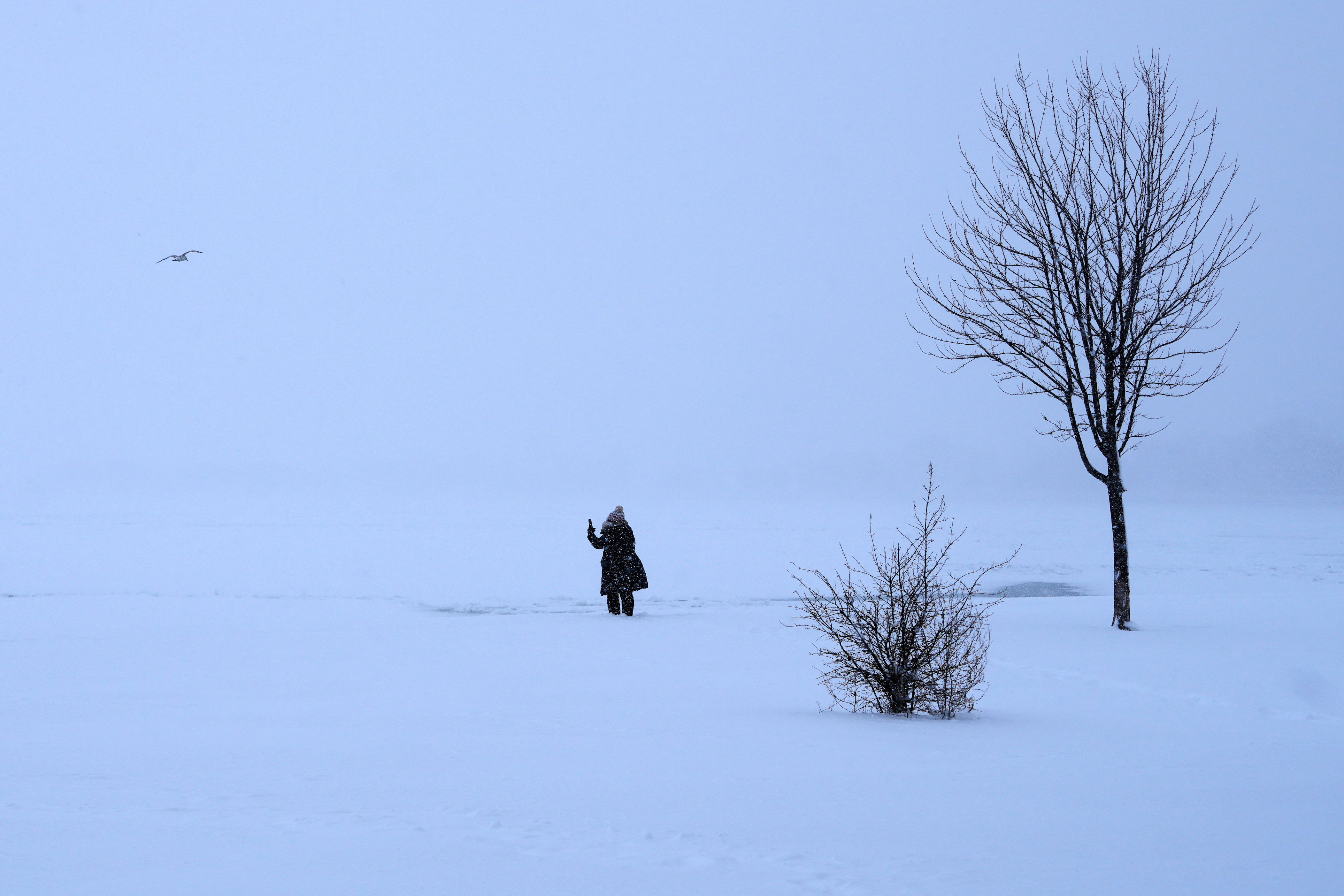 Winter storm tests US electric grid as outages spread