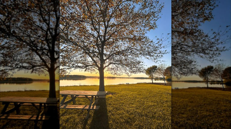 Indiana's charming Midwest locale known as the 'Rose City' offers ...