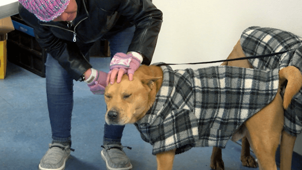 Amarillo shelters extend hours amid freezing temperatures