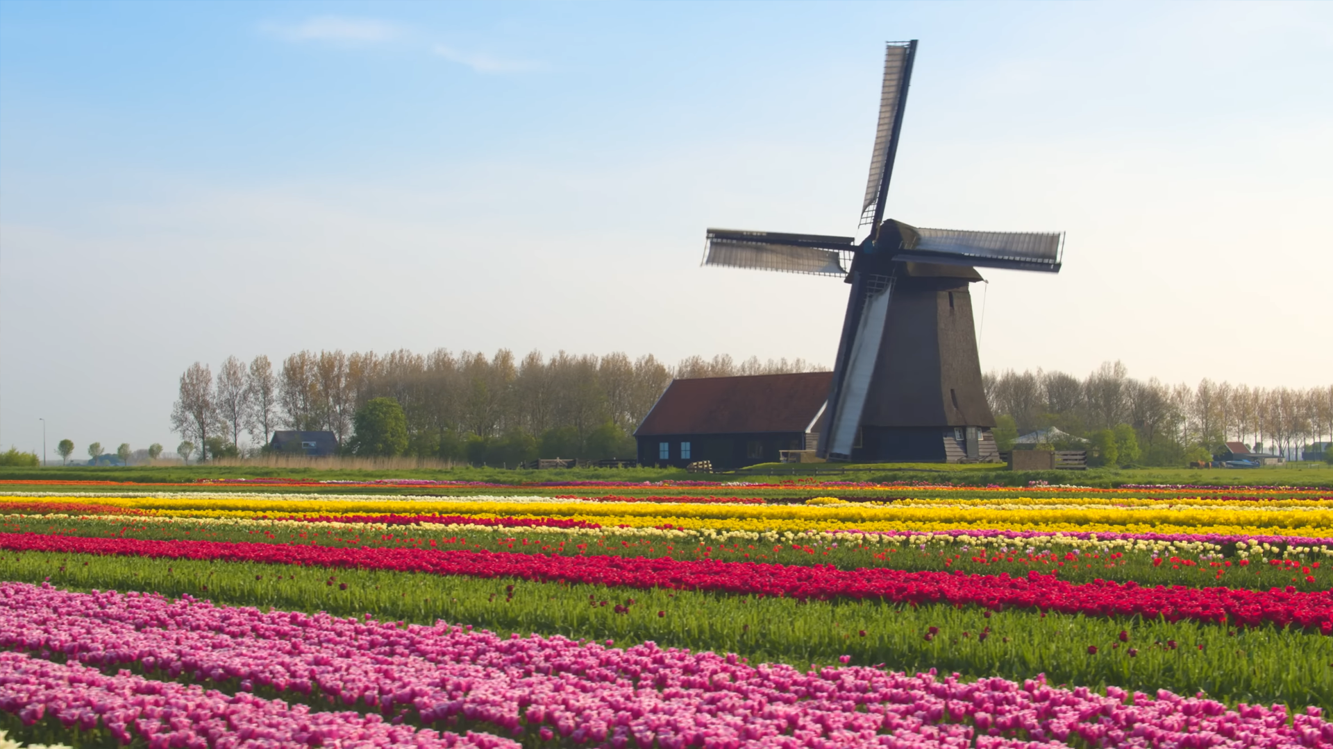 Top Ten Beautiful Places to Visit in the Netherlands