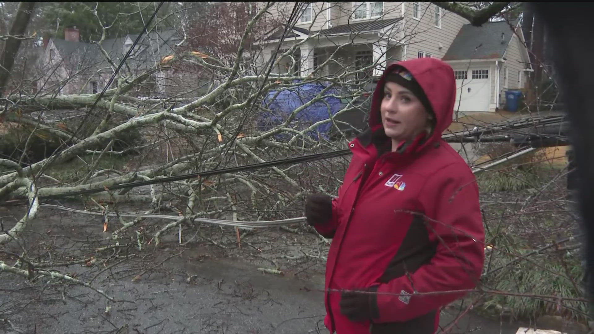 Downed tree in Morningside knocks power out for over 700 customers