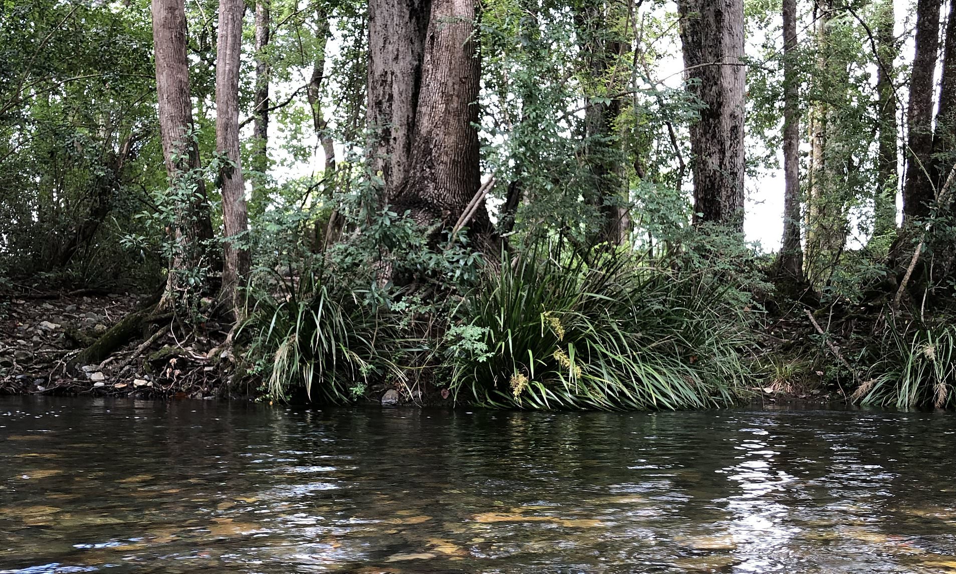 Australia Day long weekend tragedy as two men drown and a pregnant ...