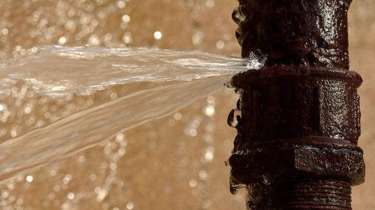 Mold damage: Will your homeowners insurance cover it?