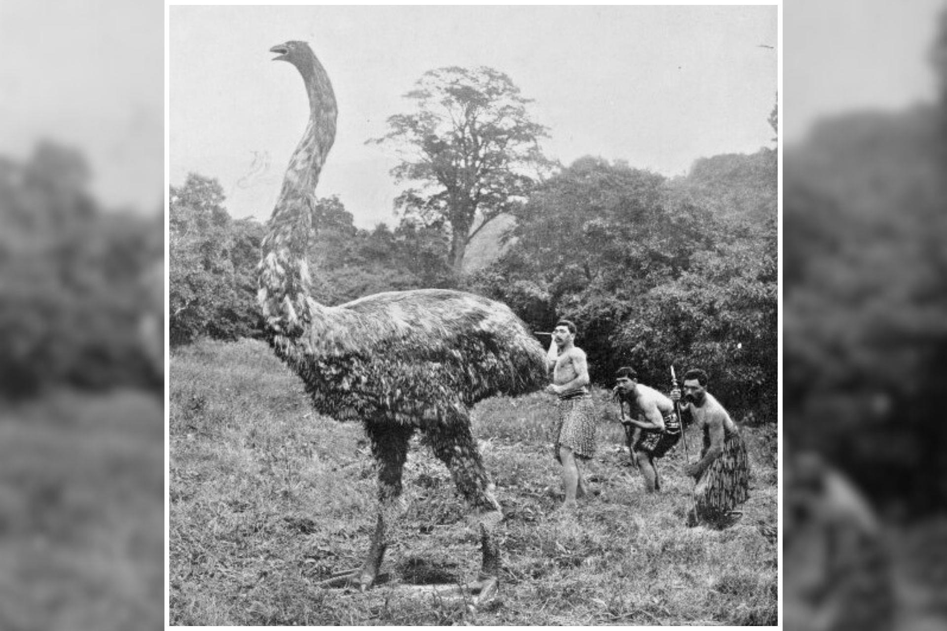 Resurrecting this ancient animal could do more harm, experts warn