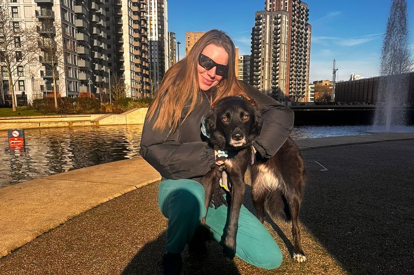 Foreign pet owners slam Brexit for impossible red tape and nightmare ...