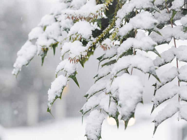 Mountain communities draw on resilience as major snow threatens region