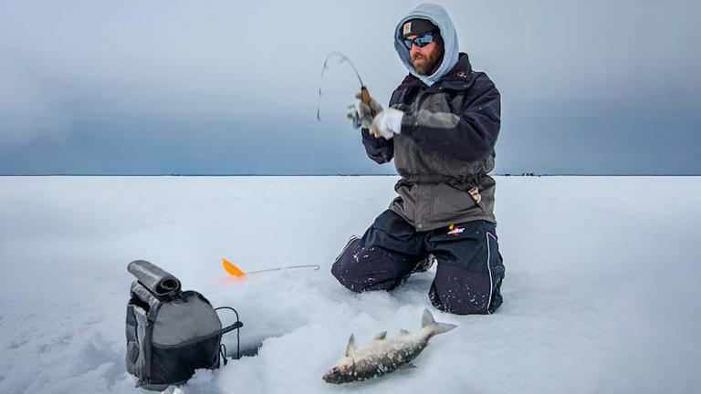 Why ciscoes are my favorite fish to pull through the ice