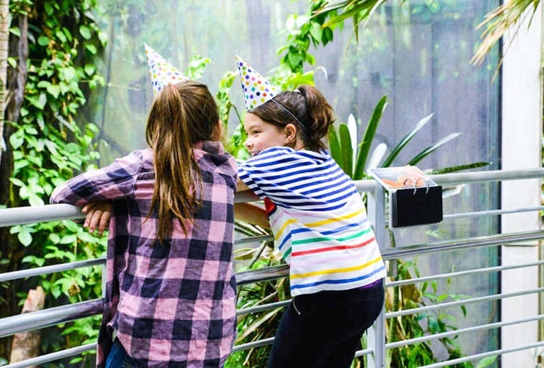 29 great indoor birthday party places in San Francisco for kids