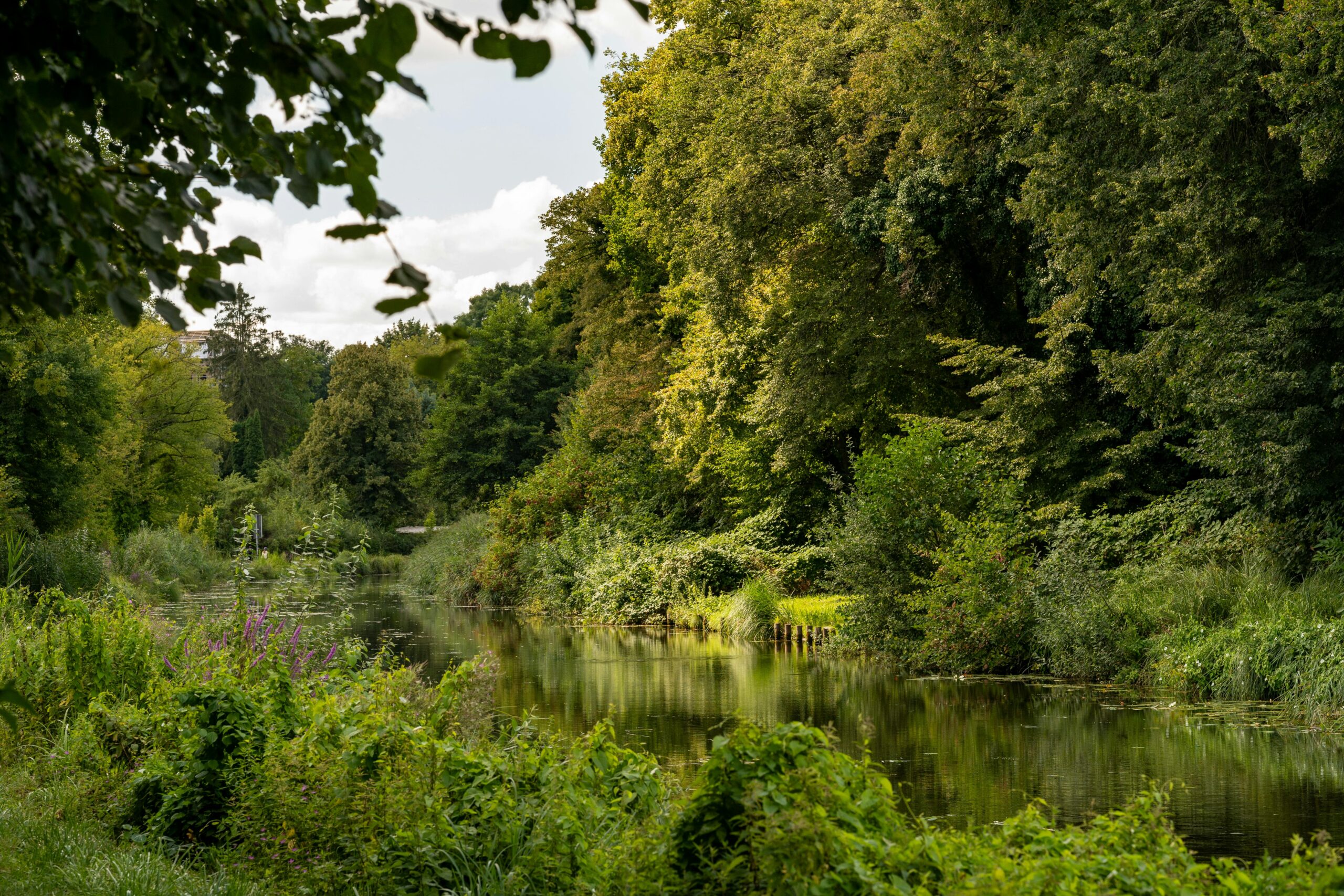 A $6 billion data center in a town of 5,000 people