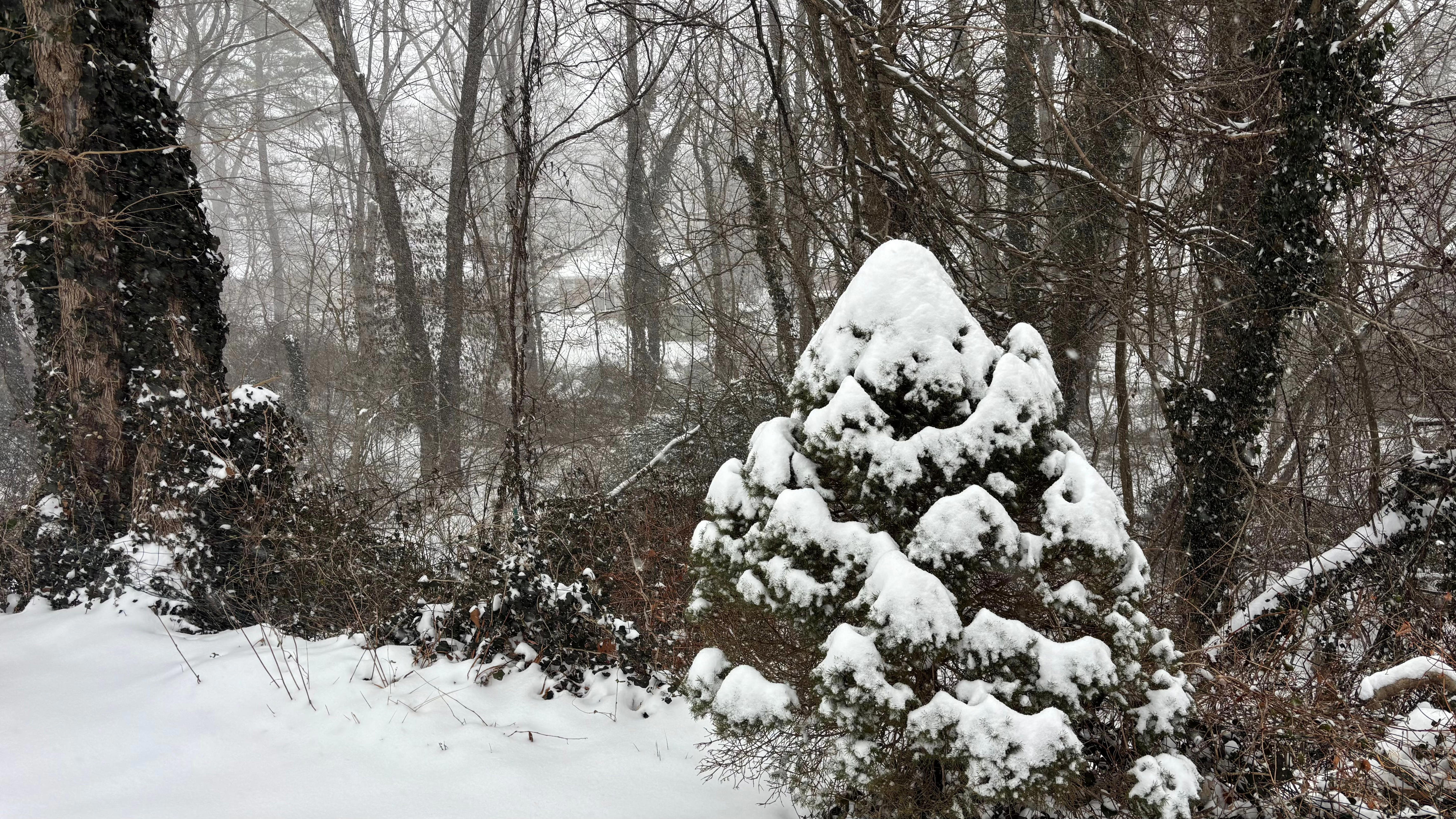 Delaware cars, buses, planes paralyzed by snow and ice storm