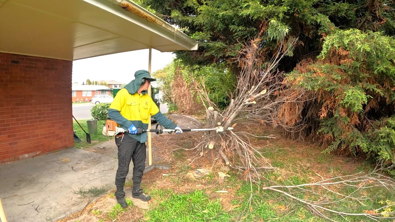 Transforming a garden at the end of a lease
