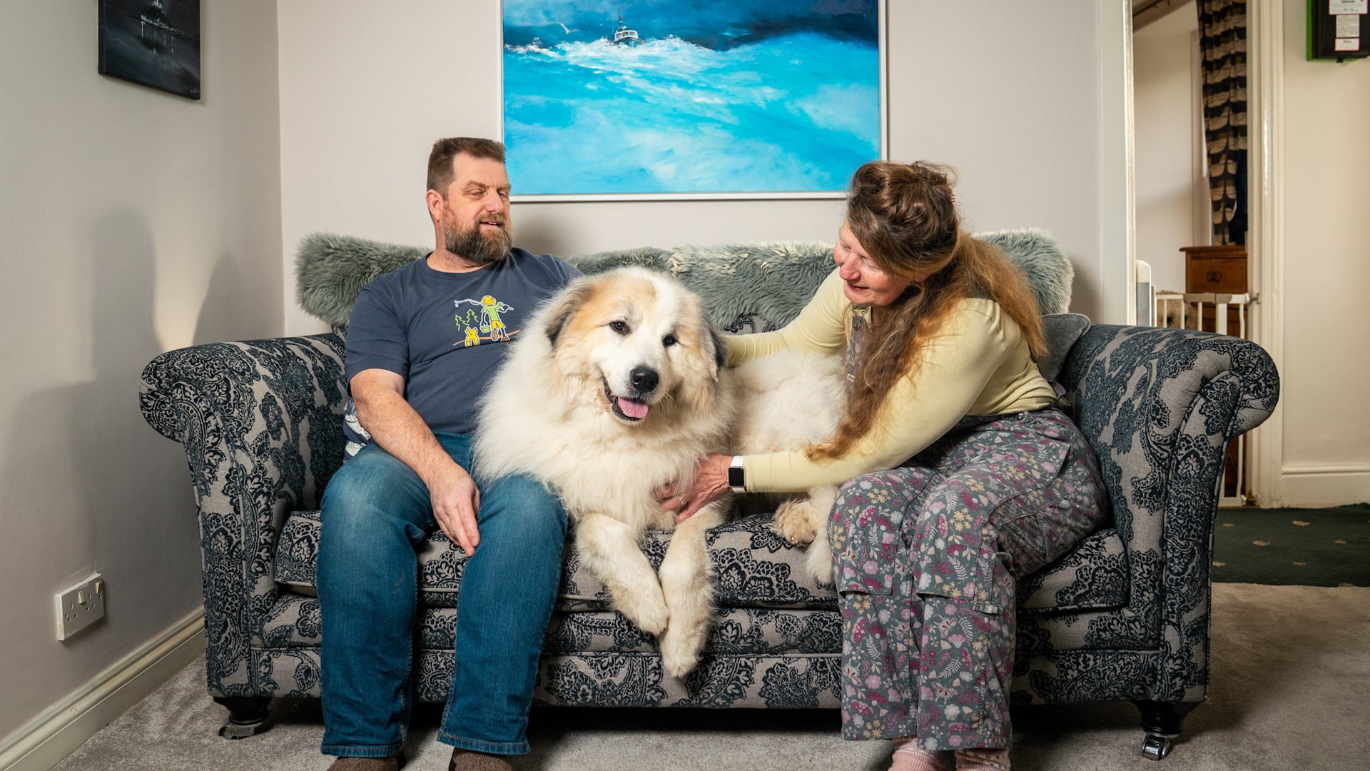 Enormous dog the 'size of a polar bear' finds forever home
