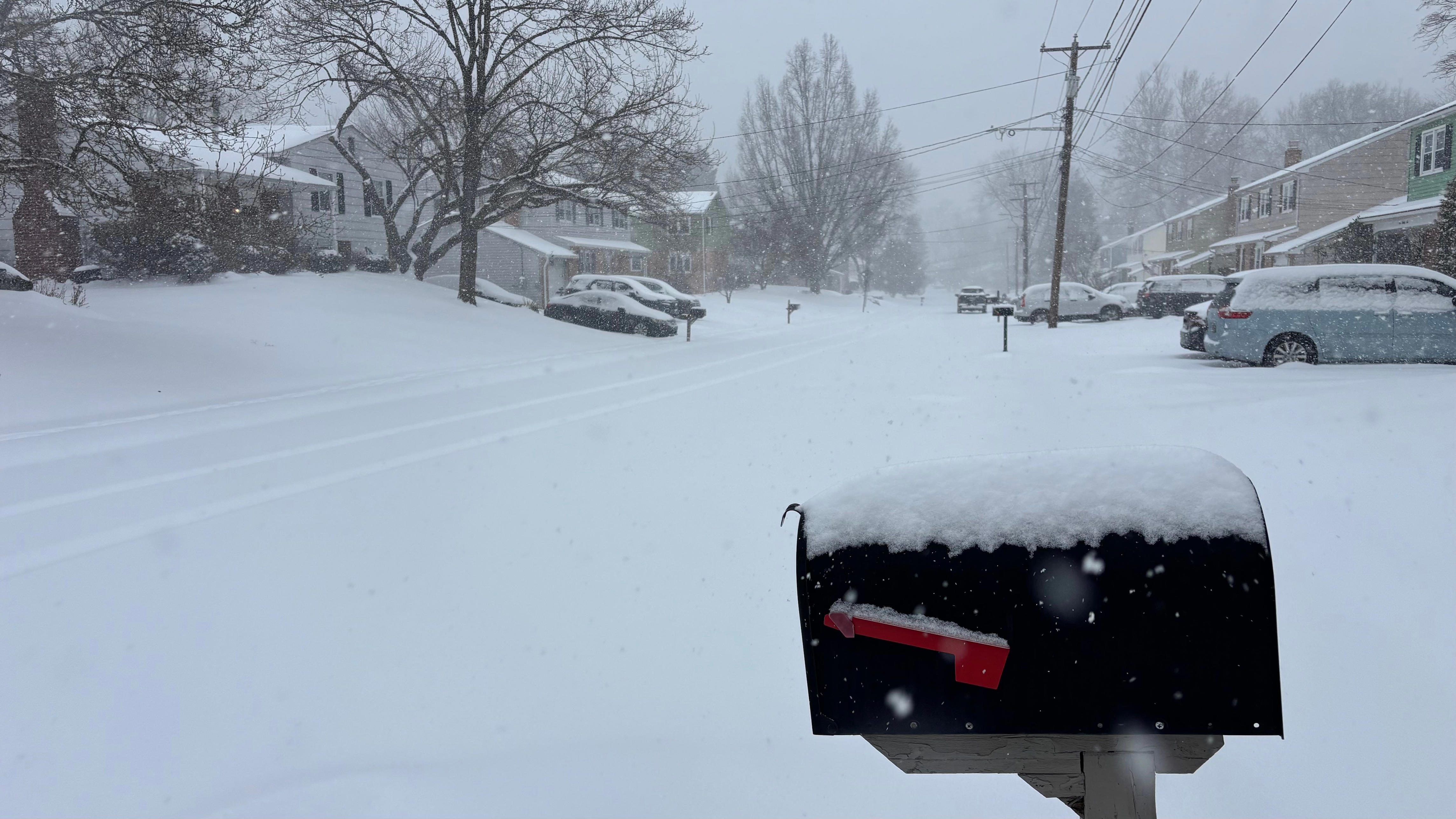 Live snowfall totals in Delaware: Milton with 4 inches