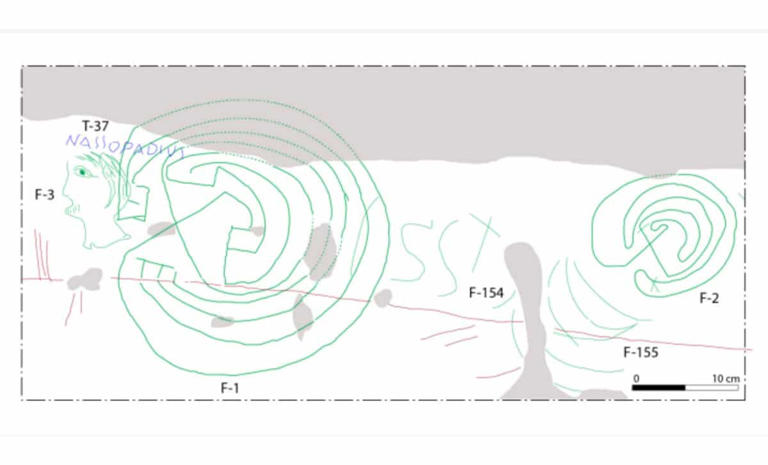 Ancient graffiti found in Pompeii, scribbled on the walls 2,000 years ...