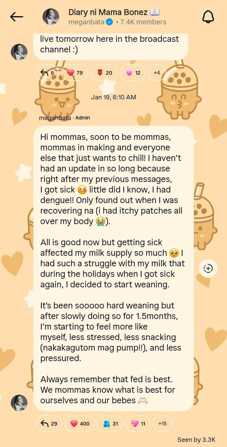 Megan Young reveals dengue diagnosis in latest update on Instagram channel