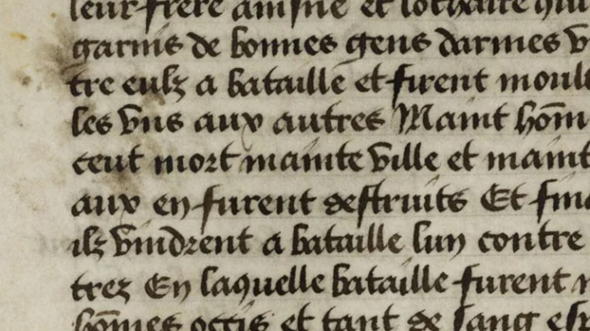 Medieval cat leaves paw prints on a manuscript 500 years later it's a ...