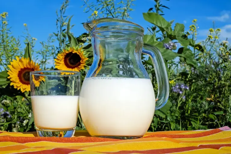 Everything you've been taught about drinking milk is a lie: What the ...