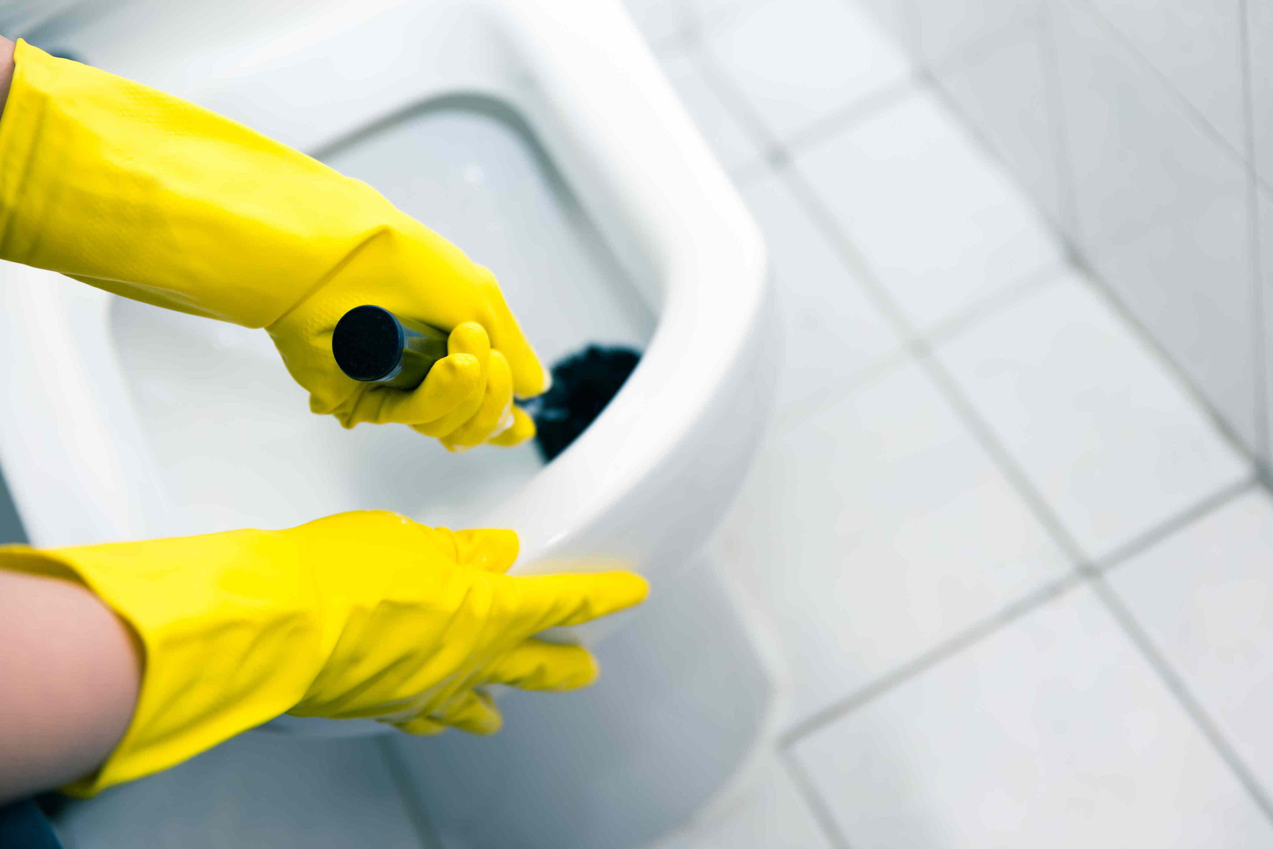 How to remove hard water stains from toilets using Martha’s easy method