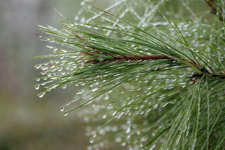 Winter storm live updates: Latest on Houston road conditions, power ...