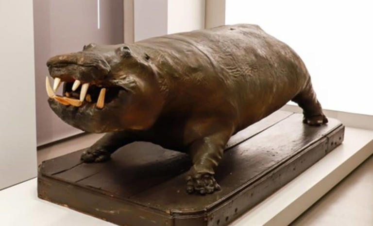 Inside the book that cured disease with feces, reptiles, and ginseng