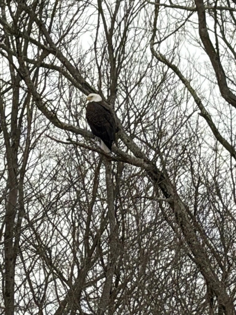 Your photos: Winter Storm Benjamin photos and videos across Connecticut