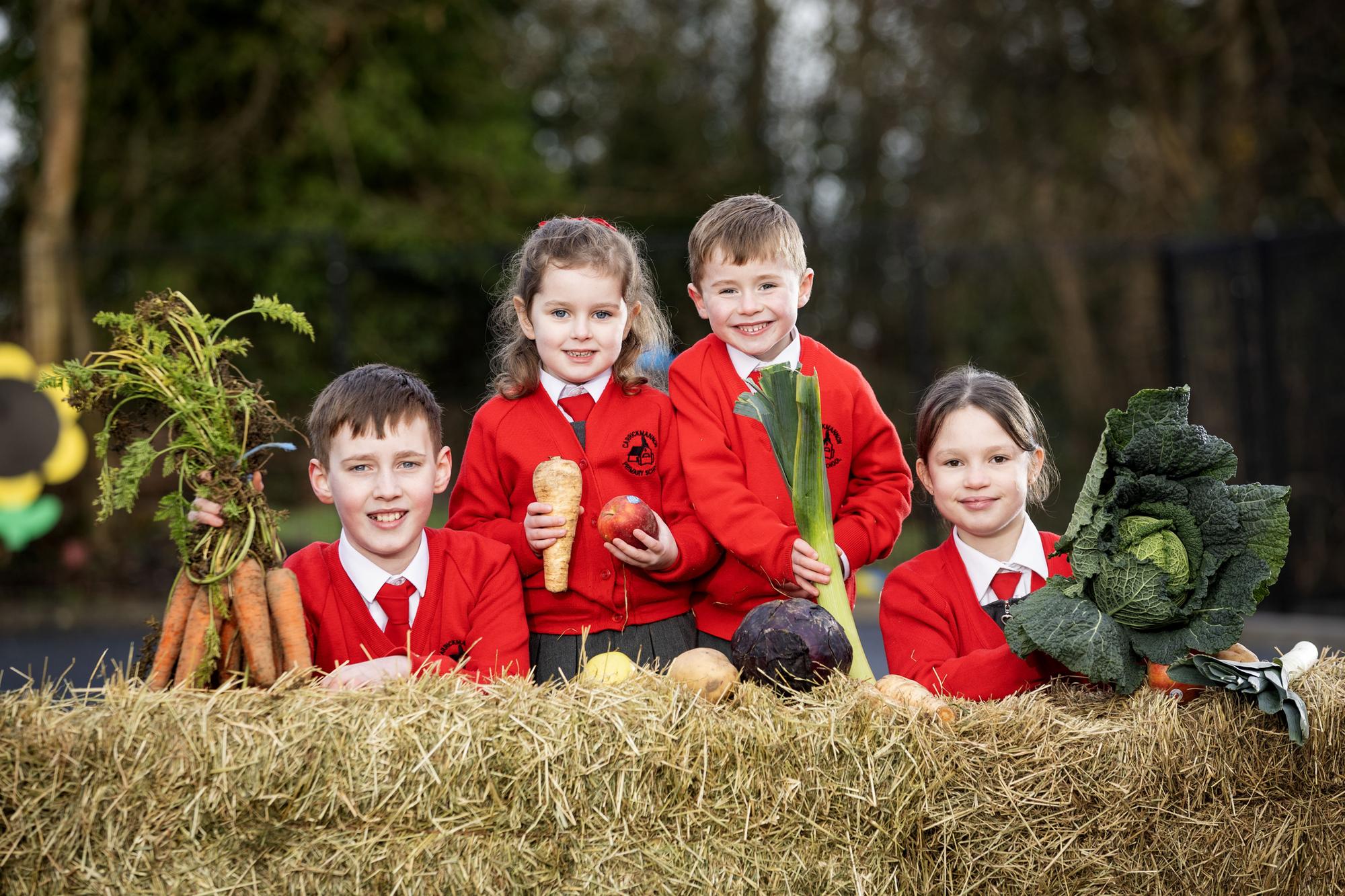 UFU launches annual Open Farm Weekend schools’ competition