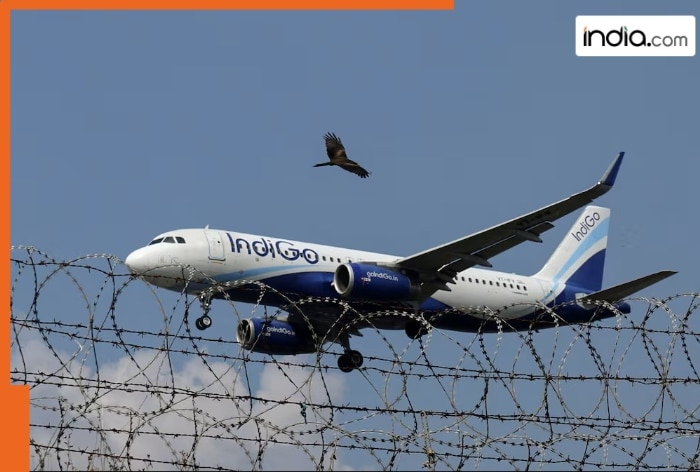 IndiGo Airlines to get tough competition as government approves two new ...