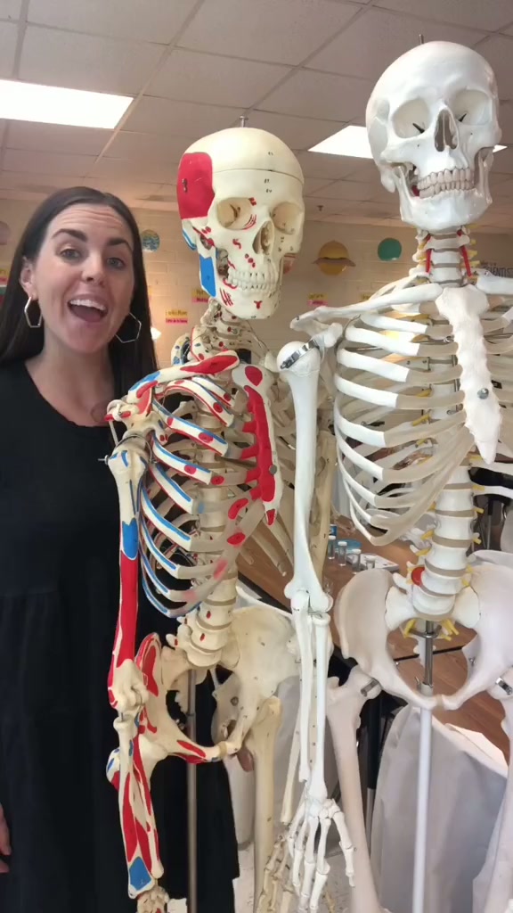 Can you name these bones before my students do?