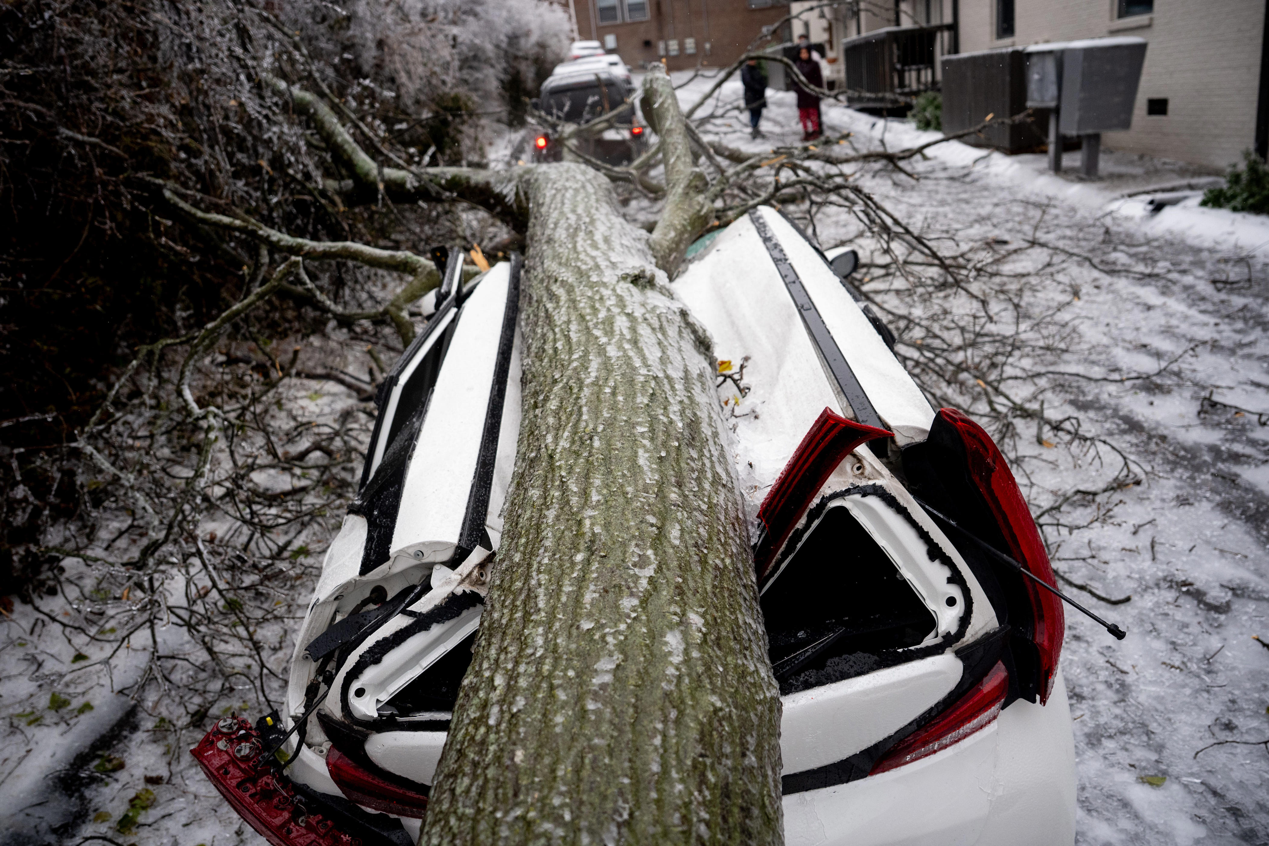 Winter storm damage? Tips for insurance, contractors, avoiding scams