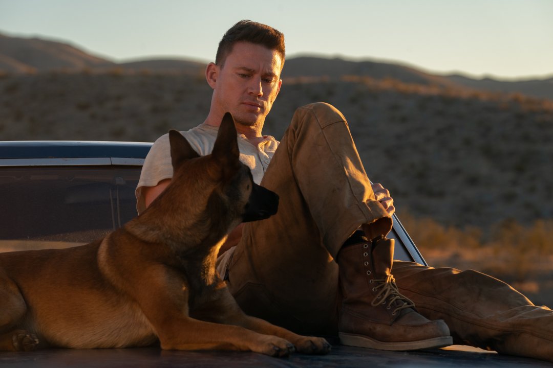 Channing Tatum si commuove alla première di Josephine: "Mi ha fatto ...