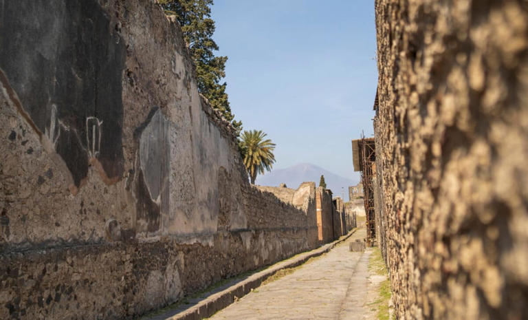 Ancient graffiti found in Pompeii, scribbled on the walls 2,000 years ...
