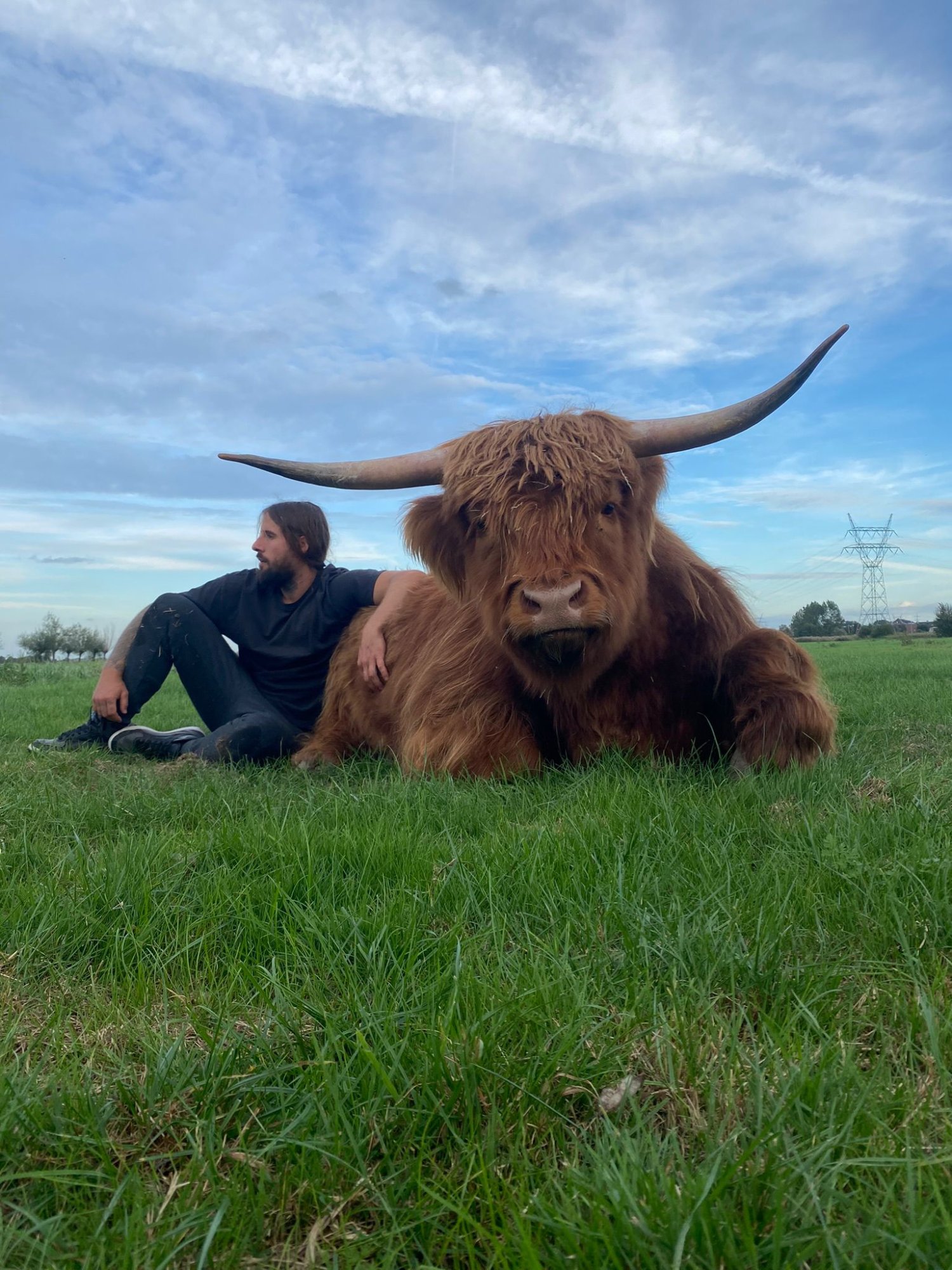 Ruud redde stier van slacht en gaat hem tam maken: 'Gevaarlijk, maar ik ...