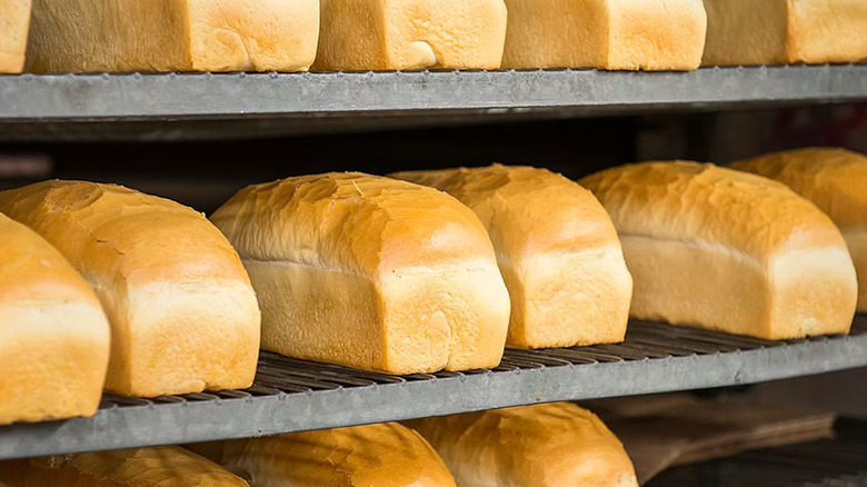 Famous for its Italian bread, this iconic Pittsburgh bakery celebrates ...