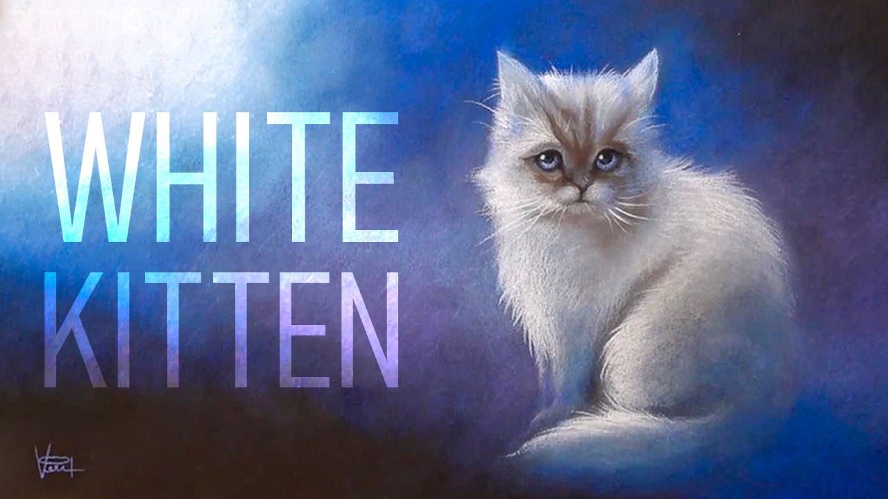 How to draw a cute white kitten on black paper with soft pastels
