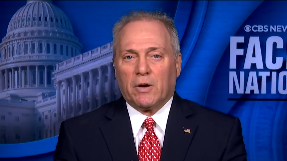 'I don't blame the credibility of ICE': Mike Johnson's sidekick Steve ...