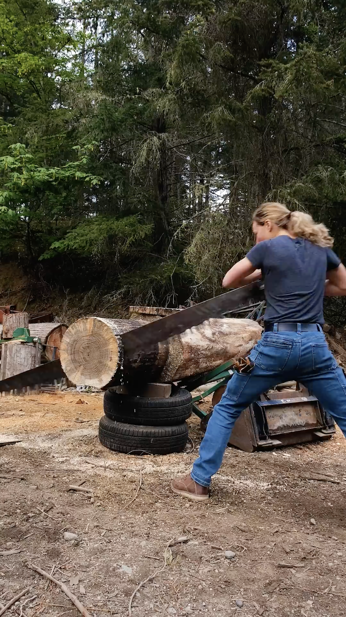 Timbersport training