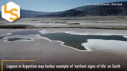Discovery of lagoon in Argentina that could provide 'earliest signs of ...
