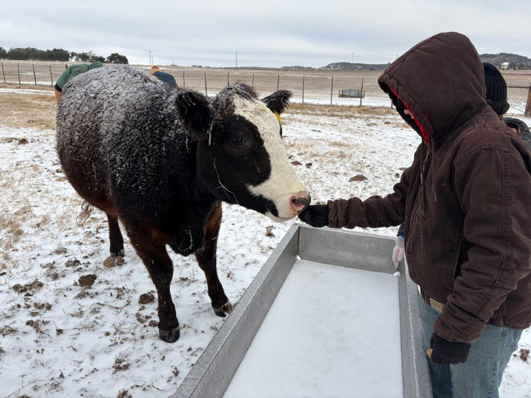 Snow, ice fall on Central Texas, as seen by KXAN viewers