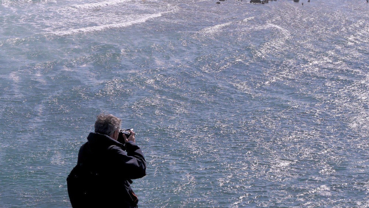 Officials stunned by rare ocean event not seen since the 1950s: 'It's ...