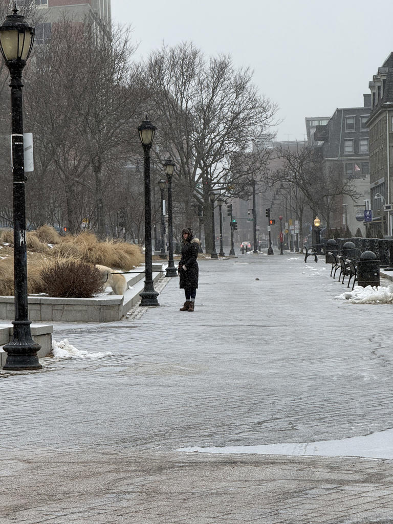 Watch: Boston winter storm 2026 live cams and live radar