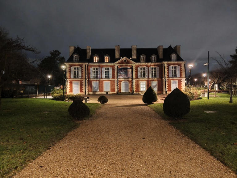 Honor Magic 8 Lite vs Xiaomi Redmi Note 15 Pro 5G : comment choisir le ...