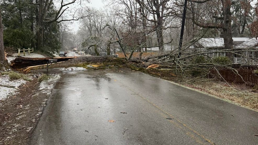 Sunday update: Downed trees, roads closed in Chattanooga viewing area