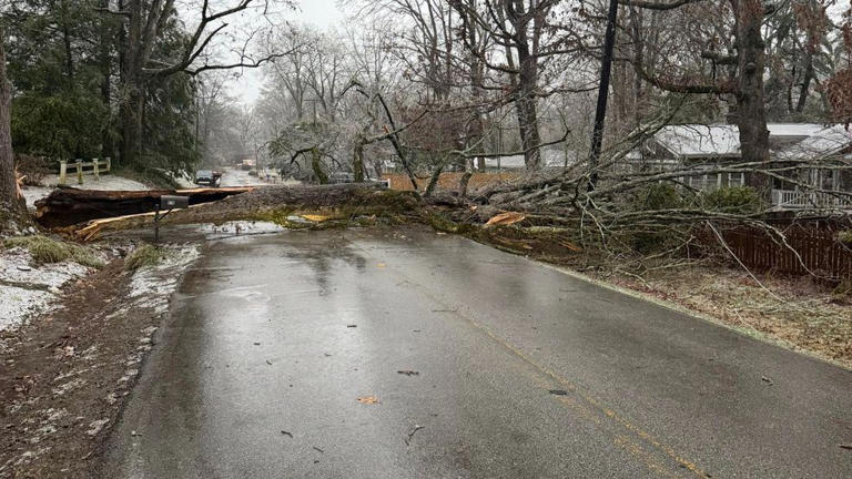 Sunday update: Downed trees, roads closed in Chattanooga viewing area