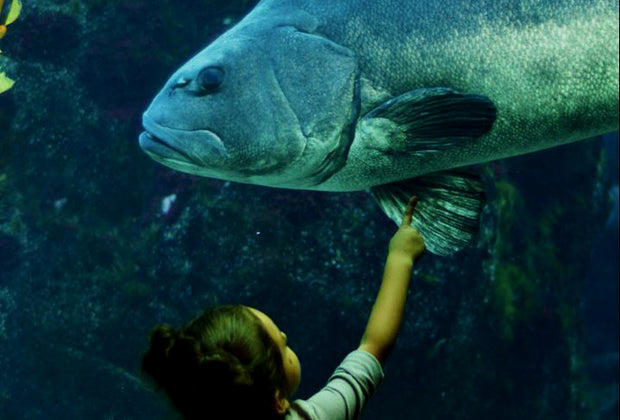 32 things to do with your baby in Los Angeles