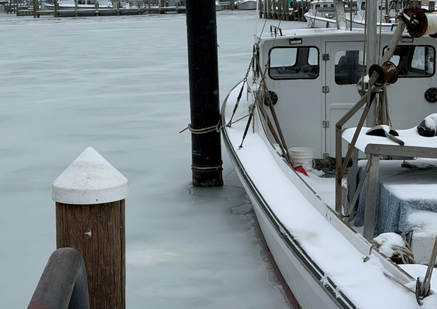 Photos: Marylanders make the most of winter storm