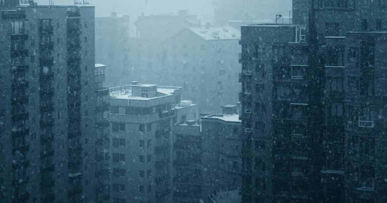 Tempête Fern : quand l’Amérique gèle sous le souffle mortel de l’Arctique