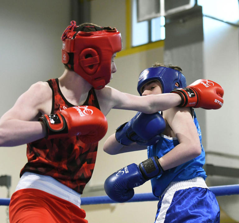 In pictures: Derry's best amateur talent on show as D&D boxing ...